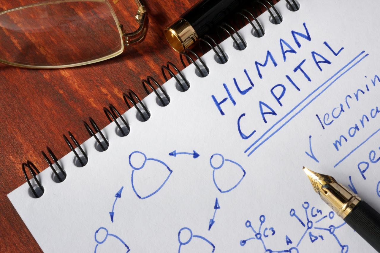 Human Capital as an Asset - Sheer Velocity