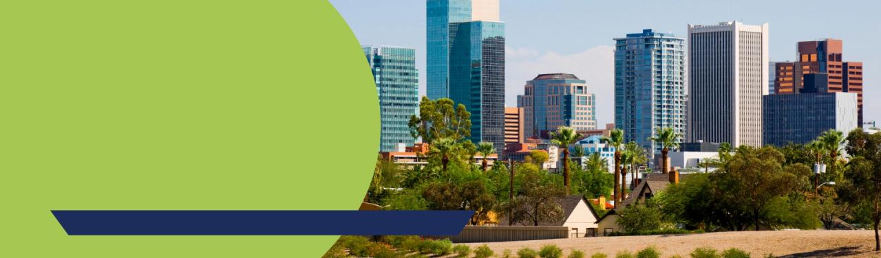 Executive Recruiters Phoenix | Search Firm | Sheer Velocity